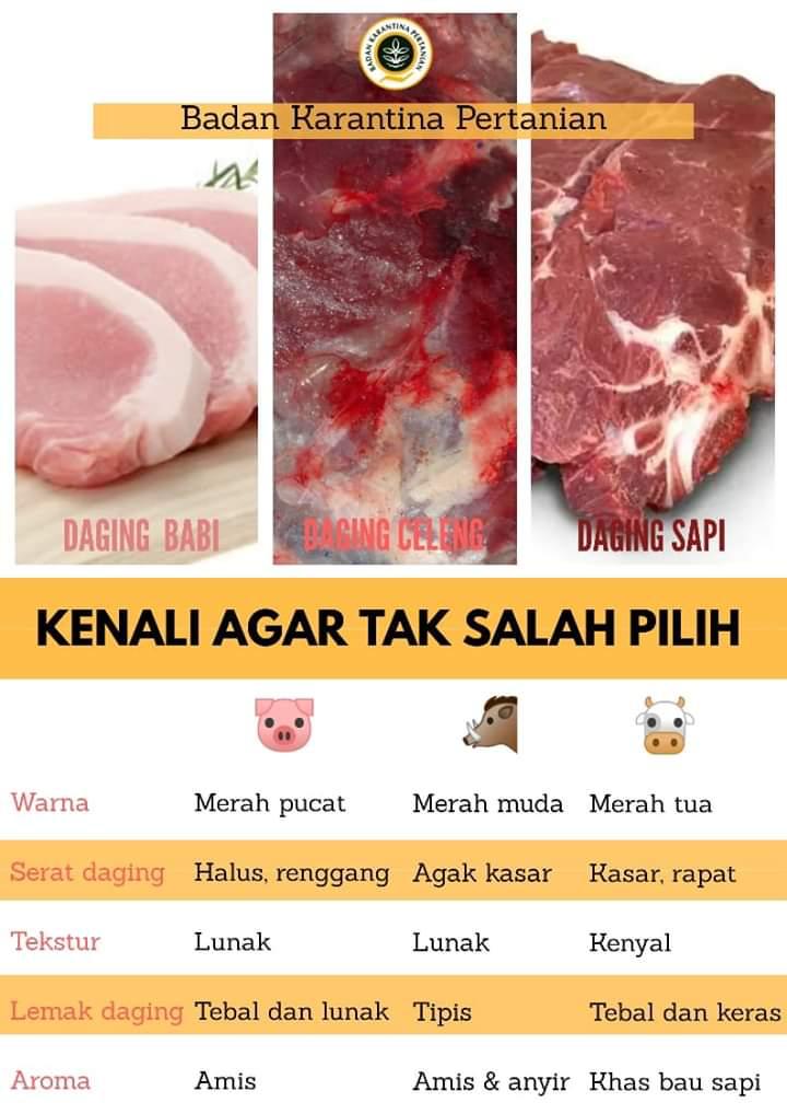 Penjual Daging Babi yang Disamarkan Wajib Ditindak Tegas - Bela Rakyat
